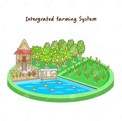 Chart For Integrated Farming System Stock Illustration Illustration