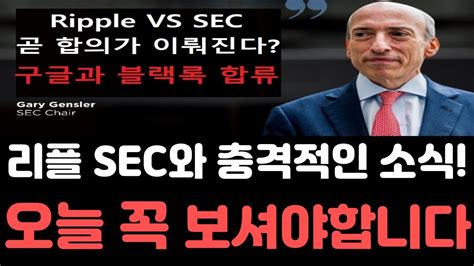 리플전망 리플 Sec와의 재판 소송전 구글과 블랙록 미국 1위 자산운용사까지 합류 오늘 영상은 꼭 보셔야합니다 리플전망