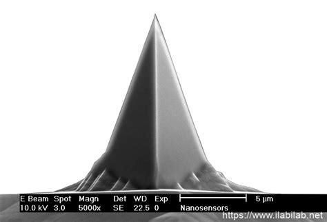 Xy Alignment Compatible Coated Afm Tips Buy Discount Xy Alignment