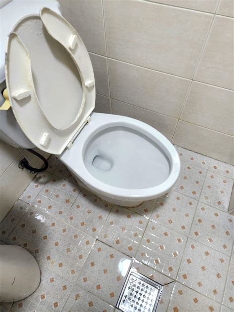 특수 청소 업체 알바 일당과 하는 일 알아보기 우아한정리 생활꿀팁 저장소