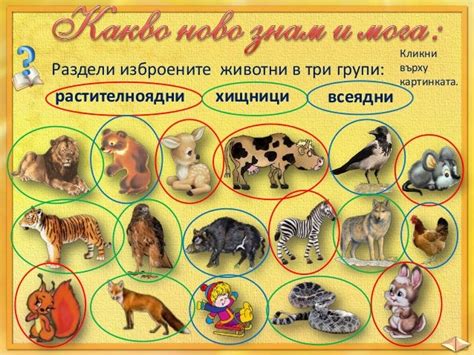 Групиране на животните според начина им на хранене ЧП 3 клас Булв…