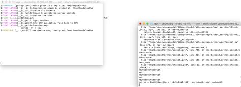 Not Able To Connect Bert Server Via Bert Client On Ec2 Instance · Issue