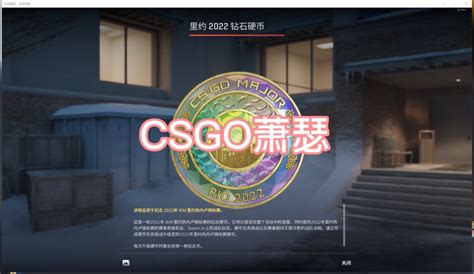 【cs2】热门里约major钻石币持有者的预测作业 3楼猫