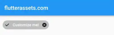How To Customize The Flutter RawChip Widget With Ease