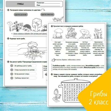 Рабочий лист по окружающему миру Грибы 2 класс