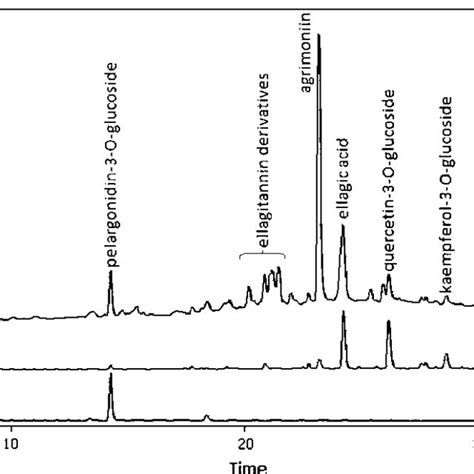 Hplc Chromatogram 280 Nm 360 Nm 520 Nm Of Polyphenolic Compounds In
