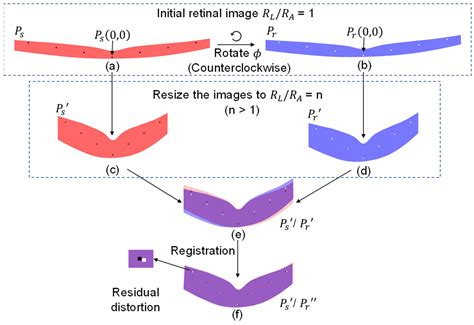 Rotational Distortion And Compensation In Optical Coherence Tomography