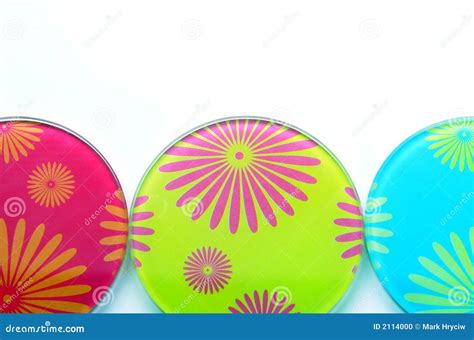 Colorful Coasters Stock Photo Image Of Interior Glass
