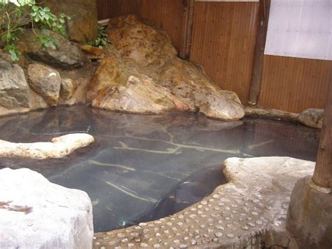 長野県 松川渓谷温泉「滝の湯」 アーカイブ編 温泉と蕎麦の徒然日記
