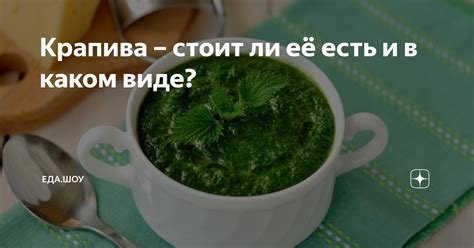 Крапива стоит ли её есть и в каком виде Живая Еда с Сергеем