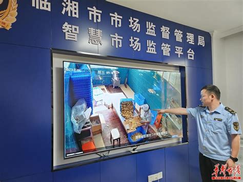 临湘市智慧市场监管平台正式上线运行 区县新闻 华声在线岳阳频道