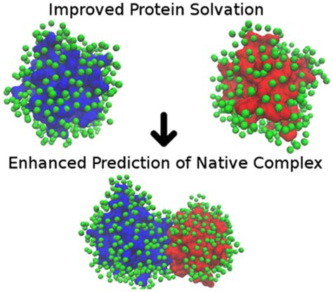 修改后的潜在功能可通过全原子分子动力学模拟增强对蛋白质复合物的预测，从而确认了天然蛋白质与蛋白质相互作用的逐步缔合过程 Journal Of Chemical Theory And