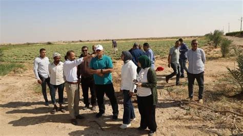 محافظ الوادي الجديد مشروعات الصوب الزراعية تستهدف توفير الخضراوات