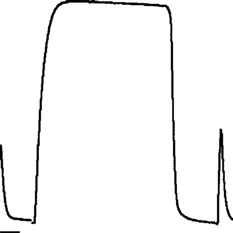 A Twitch Contraction Prior To And After A Tetanic Contraction 200 Hz