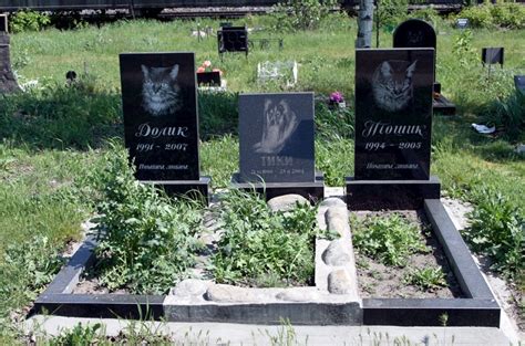 Кремация домашних животных ЗооБлог