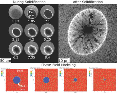 Microstructure Evolution During Rapid Solidification In Situ Characterization And Mesoscale
