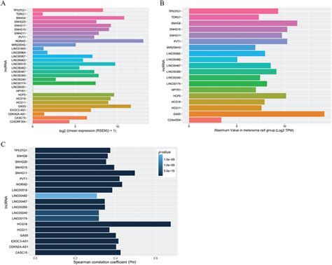 The Expression Of Selected Lncrnas In Cutaneous Melanoma A Mean