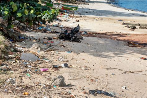 Cofepris revela cuáles son las playas mexicanas más contaminadas con