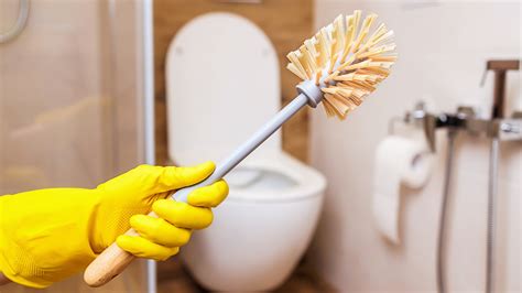 Mrs Hinch Fan Shares The 42p Secret To Getting Grim Loo Brushes Sparkling Again No Matter How