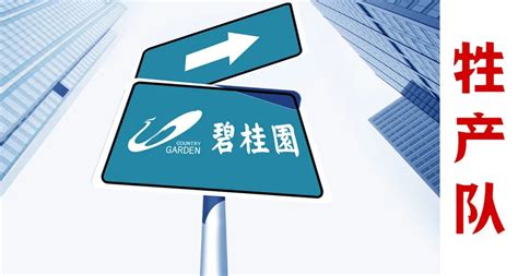 优等生碧桂园，真的是“垃圾股”吗？财经头条