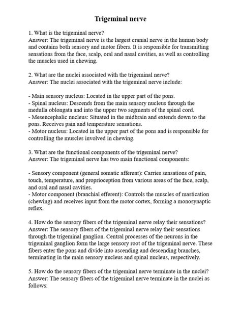 Trigeminal Nerve Pdf Motor Neuron Neuroanatomy