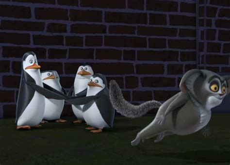 Weird Pause Moment Penguins Of Madagascar Photo 30562368 Fanpop