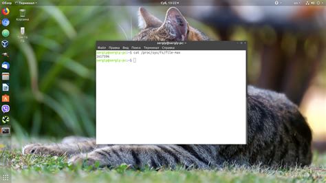 Too Many Open Files Error In Linux Causes Of Occurrence