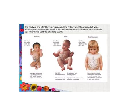 Body Fluid Compartments Slide Share Pptx