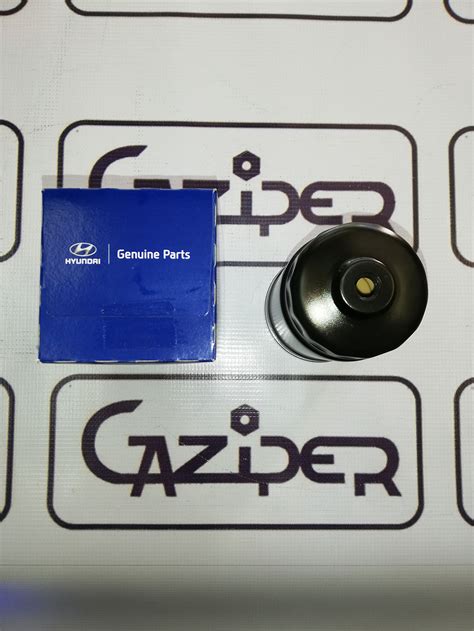 Filtro Petroleo Original Hyundai Gaziper Repuestos Para Autom Viles