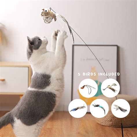 Simulation Realistic Interactive Bird Cat Toy Feather Bird Suction Cup