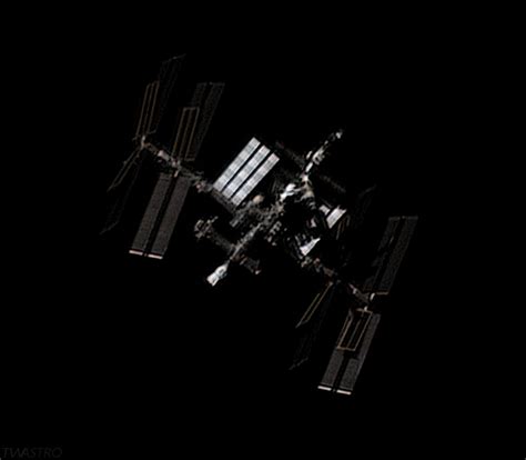 Корабль Crew Dragon Endeavour на МКС Пикабу