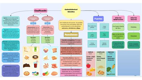 Nutrientes Mapa Conceptual Mapa Conceptual Carbohidratos Udocz Porn