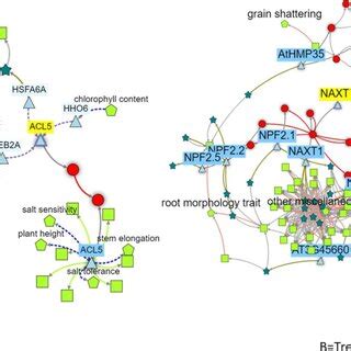 Gene Network Analysis Using DEGs Obtained From The Control A Download Scientific Diagram