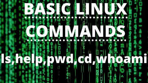 Basic Linux Commands Lshelppwdcdwhoami Part 1 Kali Linux
