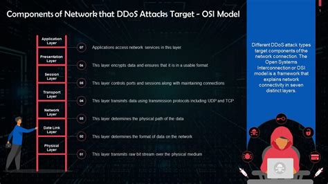 Components Of Network Targeted By Ddos Attacks Osi Model Training Ppt
