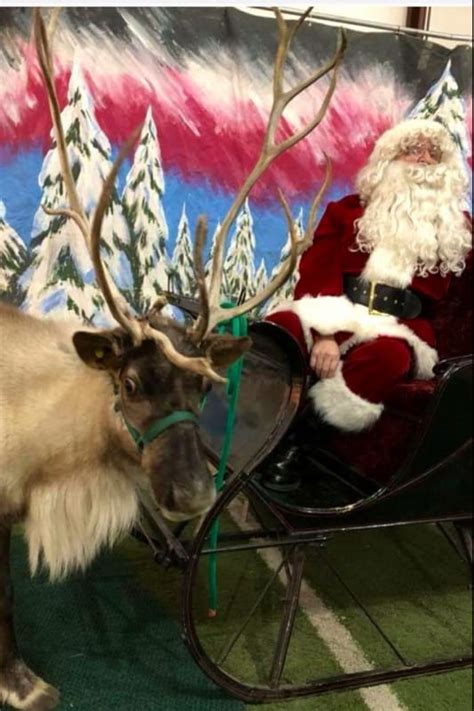 Critter Lane Petting Zoo Located In Valles Mines Missouri • 573