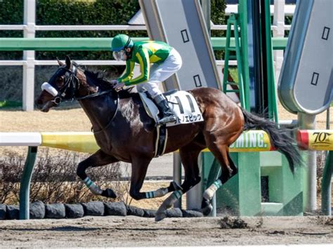 【3歳1勝クラス中山6rレース後コメント】サトノエピック横山和生騎手ら 競馬ニュース Netkeiba
