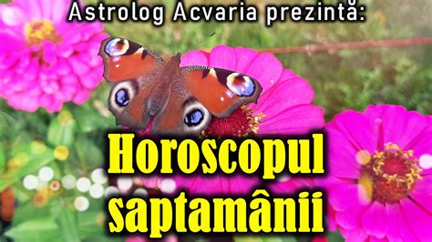 Horoscop De Top ACVARIA ACVARIA RO Horoscopul Saptamanii Octombrie