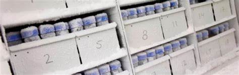 Biosample Services Creative Bioarray Creative Bioarray