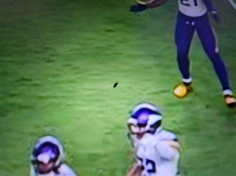 Bug Stuck Behind Screen Rhisense