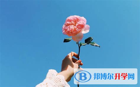 2021年商洛中考录取查询入口