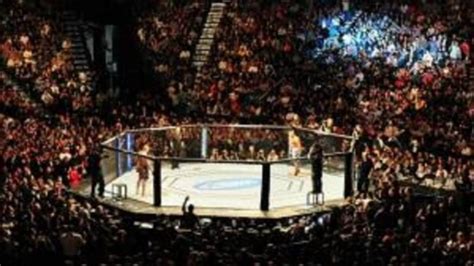 MMA Premiers Combats Officiels En France Ce Jeudi 8 Octobre