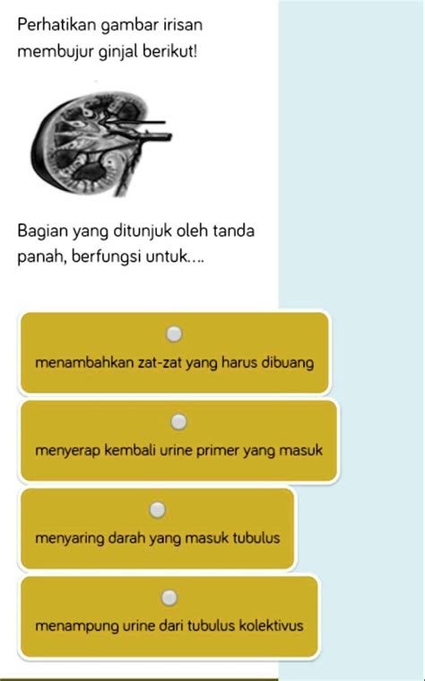SOLVED Bagian Yang Ditunjuk Oleh Tanda Panah Berfungsi Untuk