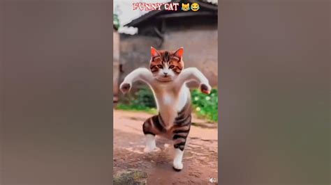 The Best Cat Fails And Funny Moments Youtube