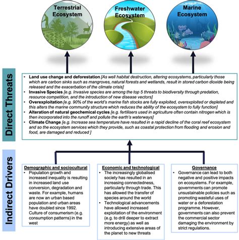Ecosystem Services The Fundamentals Green Element Blog