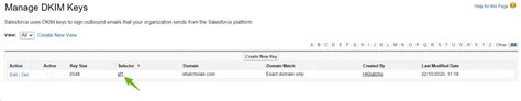 Salesforce Spf And Dkim Setup Step By Step Easydmarc