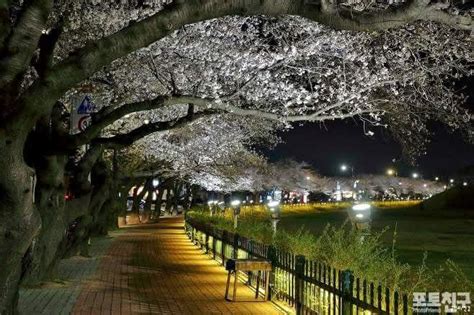 Bobby H 개인에게도 삶의 모멘트가 있고 국가에도 역사적 분수령이 있습니다 천국이냐 지옥이냐 흥하느냐 망하느냐 솟구치느냐 추락하느냐의 갈림길입니다 머물러야