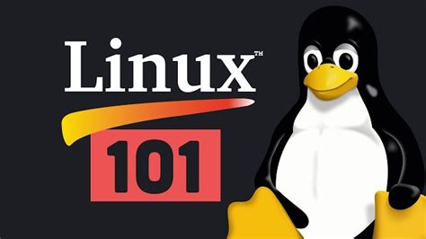 Mastering Linux Boost Your Skills With Fireship S Comprehensive 10 Minute Guide Brunswickai Net
