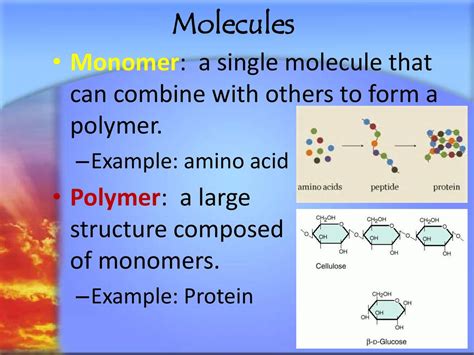Intro To Biochemistry Ppt Download