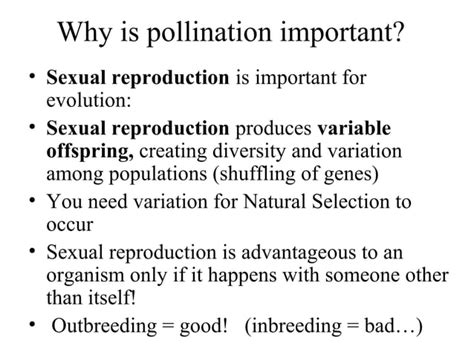 Pollination Reproduction In Plants Ppt Beekeeping Hobbies